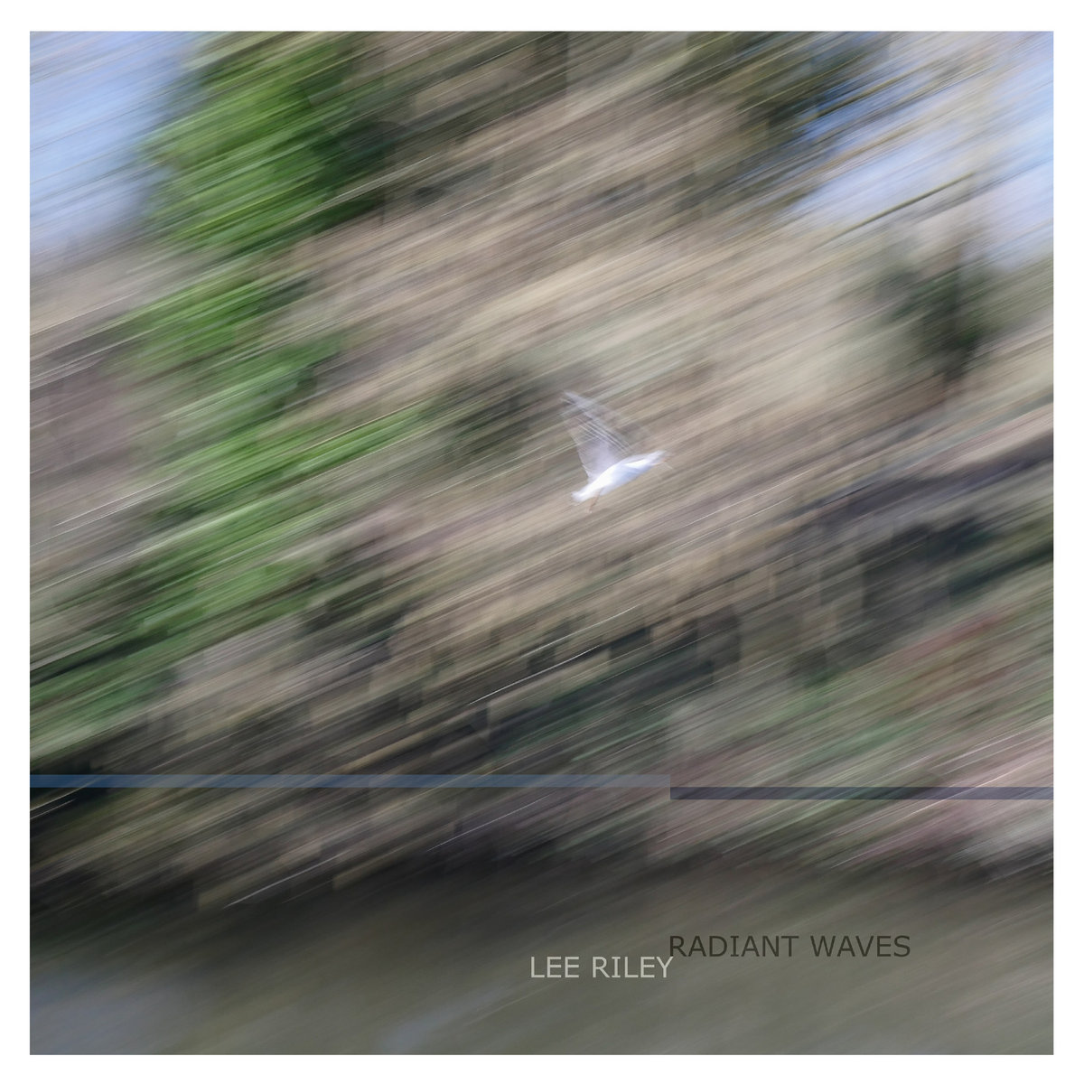 RADIANT WAVES | LEE RILEY | iller eye