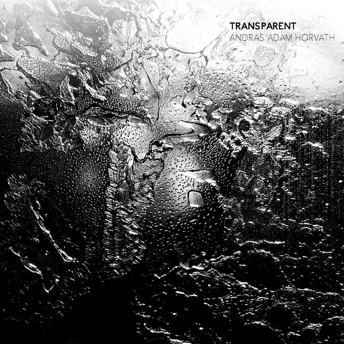 Transparent | Andras Adam Horvath