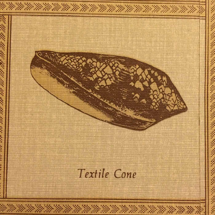 Textile Cone | Ben Varian