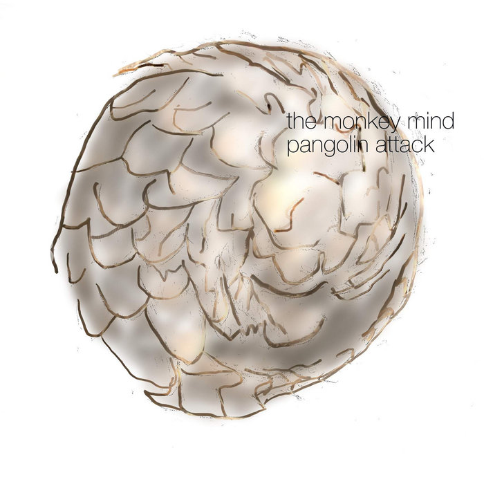 pangolin attack | themonkeymind | the monkey mind