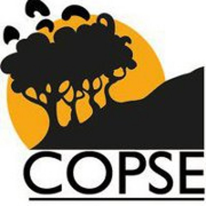 New Demographic | Copse