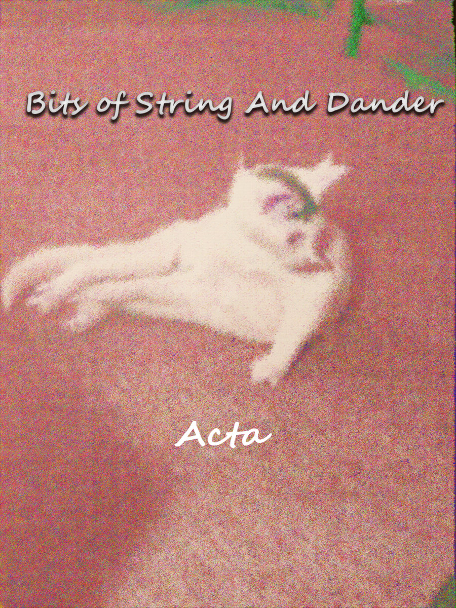 Bits Of String And Dander | Acta