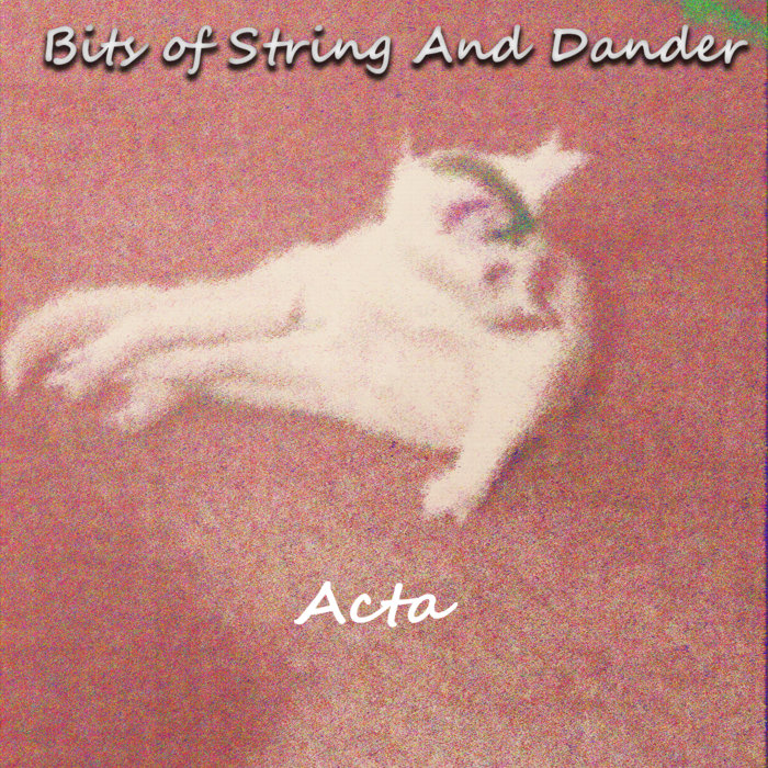 Bits Of String And Dander | Acta