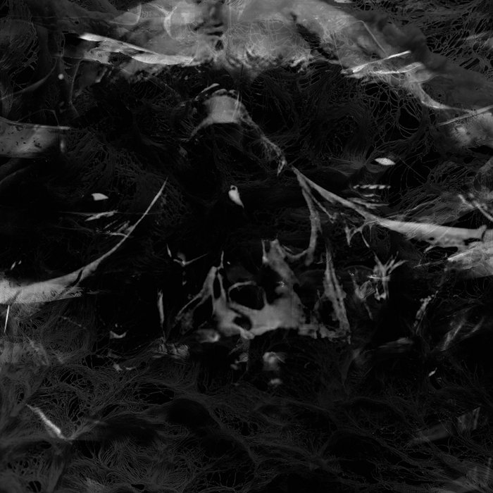 Destination Reached | 3.2KM | 96NOISIΛ