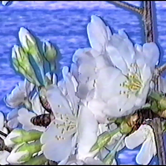 Video Art for Conditional Malaise | Rob Feulner & Billy Gomberg | Bleu ...