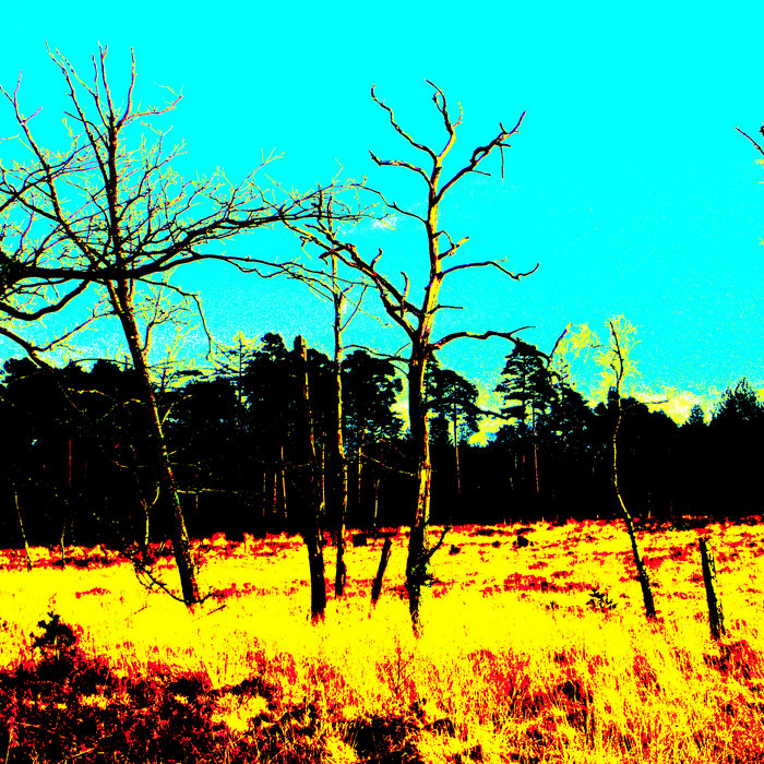 absurd england savanna | sonja berlin-jones