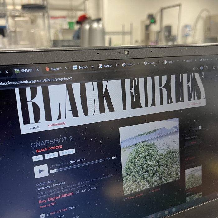 SNAPSHOT 2 | BLACK FORCES