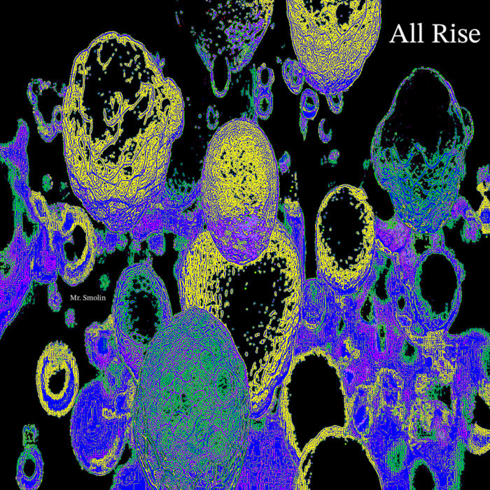 All Rise | Mr. Smolin