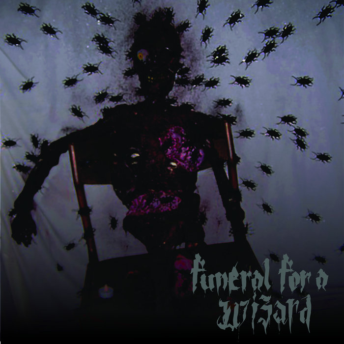 Insect Dreams | Funeral for a Wizard