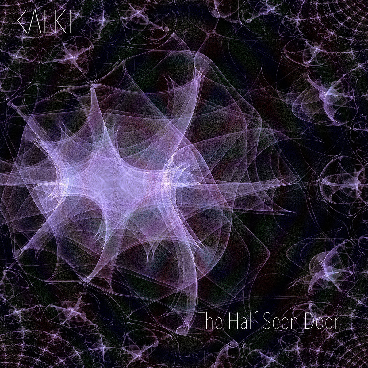 The Half Seen Door | Kalki