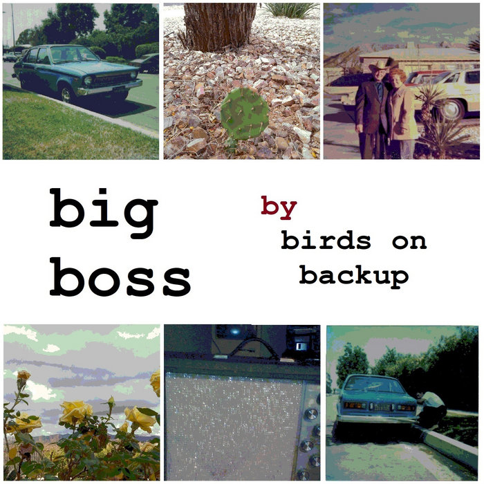 big boss | birds on backup