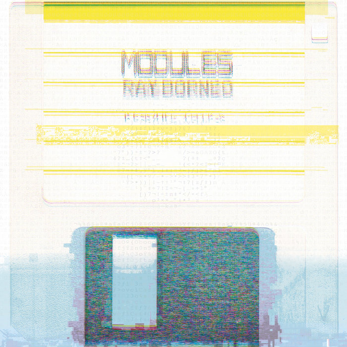 Modules | RAY BORNEO | Petrol Chips