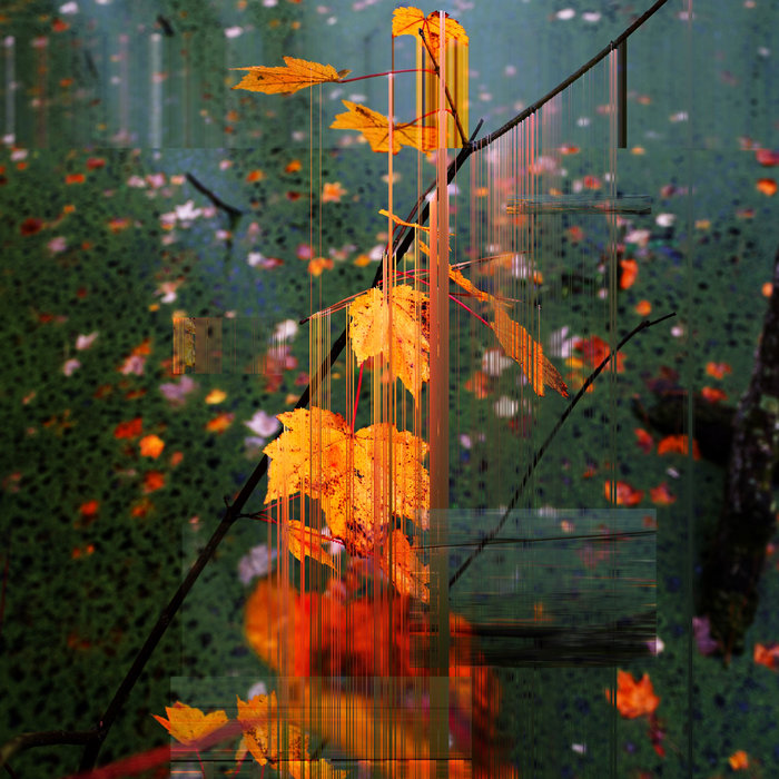 Color of Time | Color of Time | Past Inside the Present