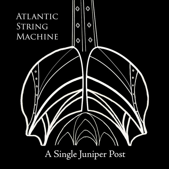 A Single Juniper Post | Atlantic String Machine