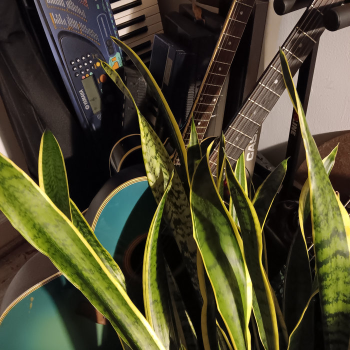 Boomer Attitude | Dust Bunnies