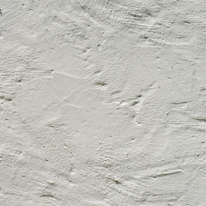 The Quarantine Polka | Trevor Helminski