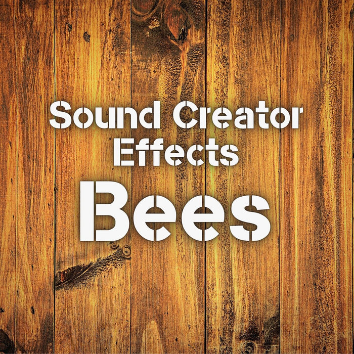 Bees | Sound Creator (Royalty-Free Effects)