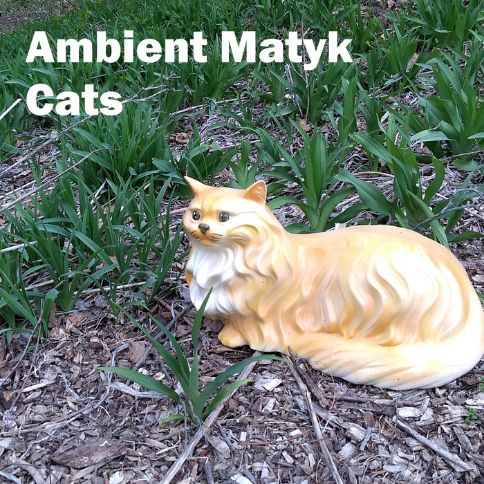 Cats | Ambient Matyk