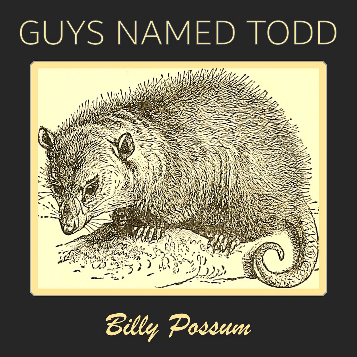 Billy Possum EP | Guys Named Todd