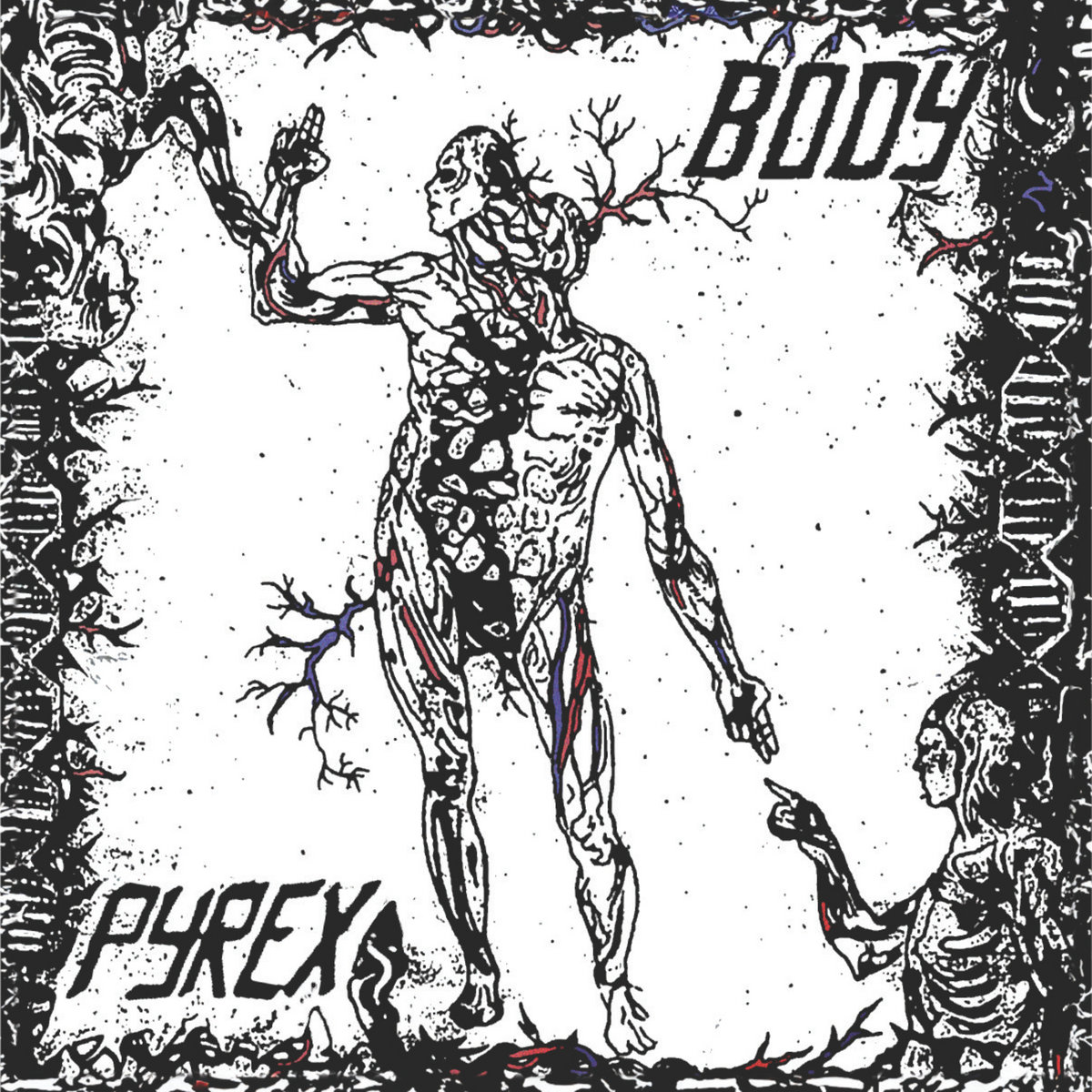 Body | PYREX | Total Punk Records