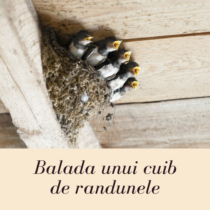 Balada unui cuib de randunele | Horatio