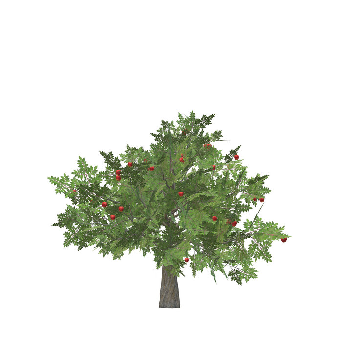 outter limits | DJ Reggie Rivera