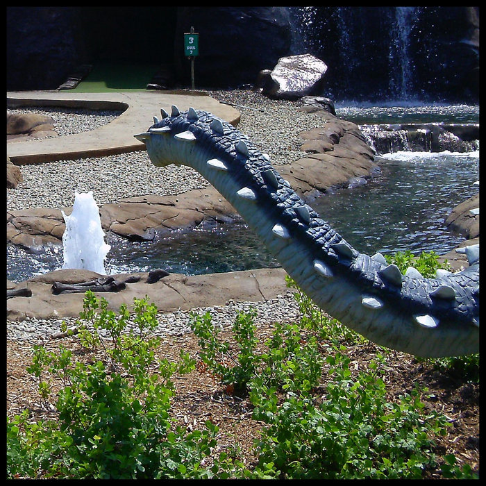 india | propane candy bars