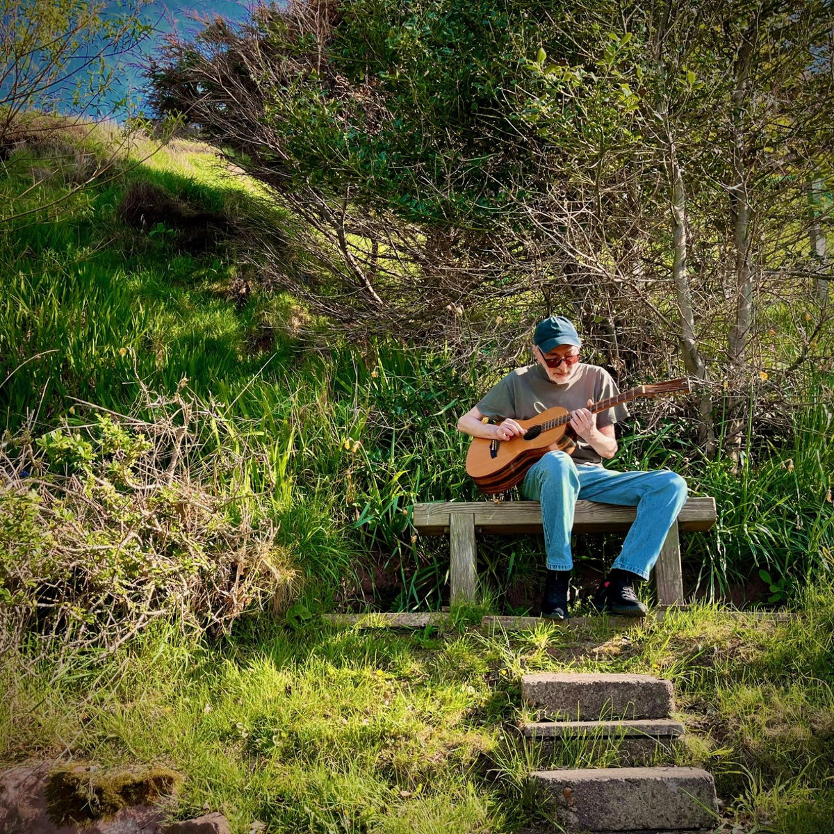 Songs From Frank's Garden | Gavin Sutherland