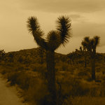 My Joe Strummer Dream | Andrew Hyra