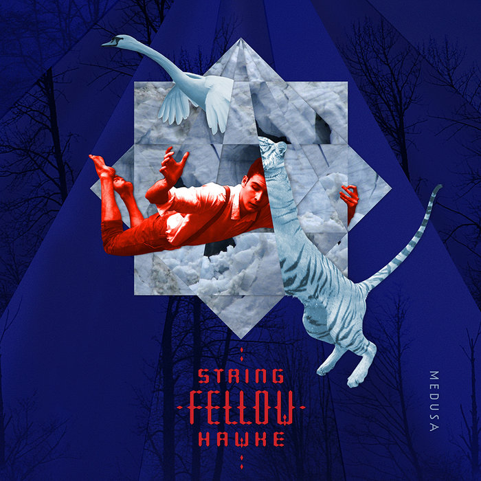 Medusa | StringfellowHawke | Stringfellow Hawke