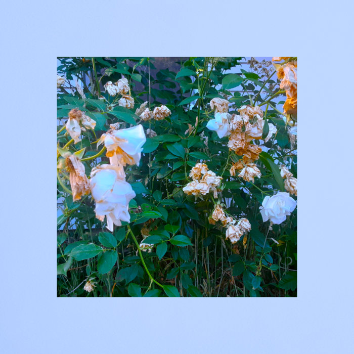 Nothing Charms | Lesser Angels