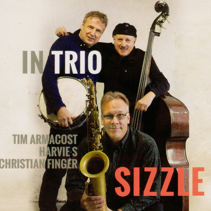 Sizzle | IN Trio | Tim Armacost Official Artist Page