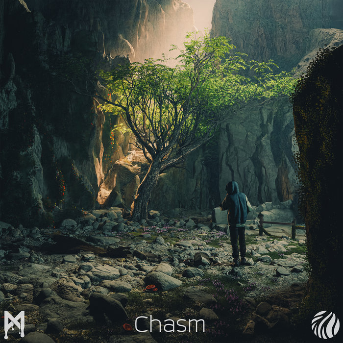 Chasm | Mfinity