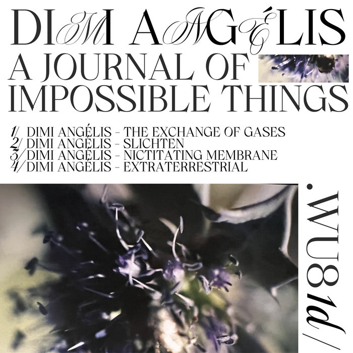 A Journal of Impossible Things - WU81d | Dimi Angelis | Warm Up Recordings