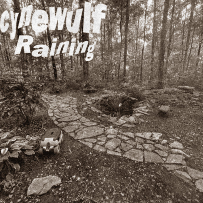 Raining | Cynewulf | CyneWulf