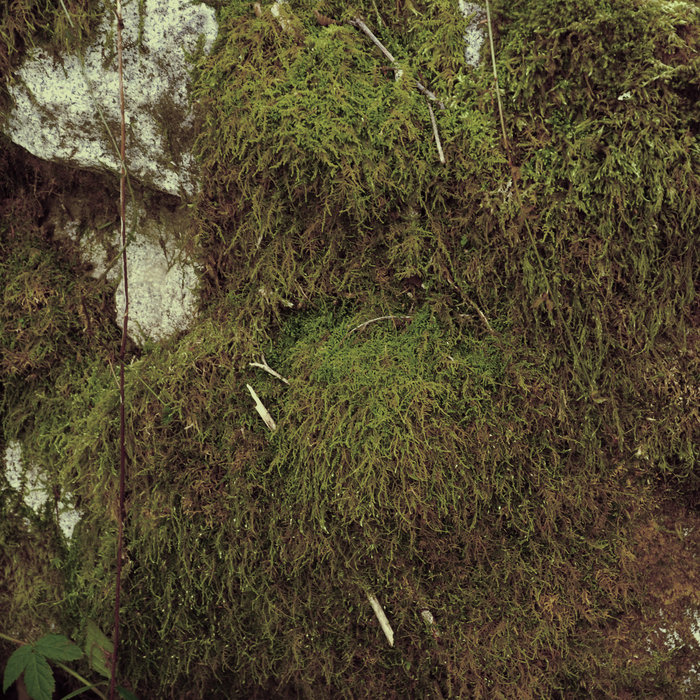 Ritual of the White Light Device EP | PARABLE:ONE