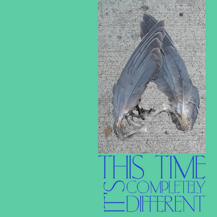 This Time, It's Completely Different [excerpt] | The Great Auk Fanciers ...