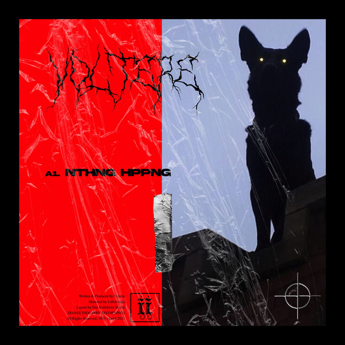 NTHNG HPPNG | Voltère | INSANE INDUSTRY