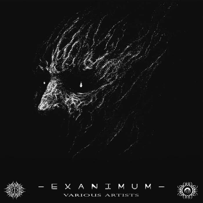 Exanimum | Hueco Records
