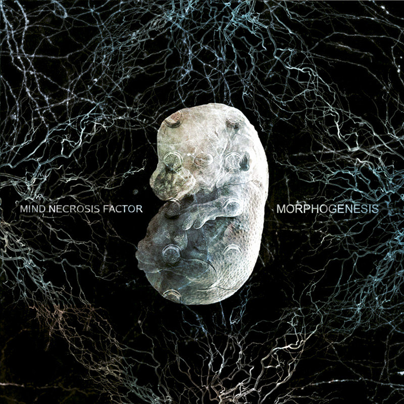 morphogenesis | mind necrosis factor | ant-zen