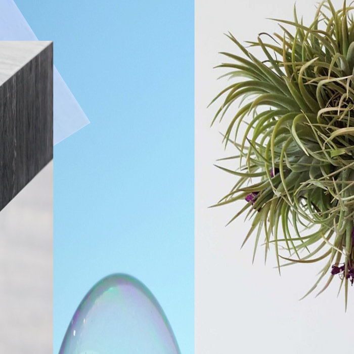 Air Plants A=B | Audio Walk | Static Disc