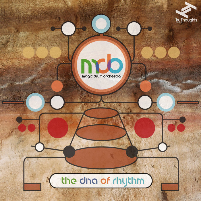 The DNA of Rhythm | Magic Drum Orchestra