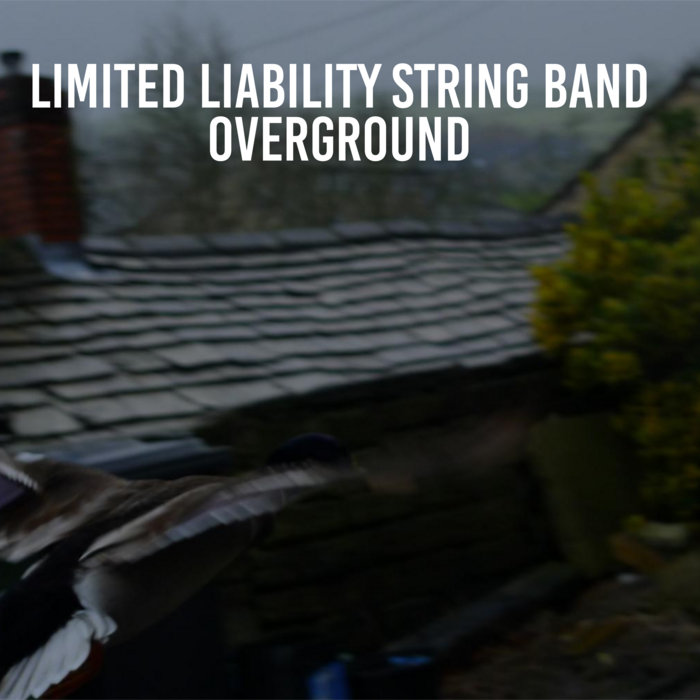 Overground | Limited Liability String Band