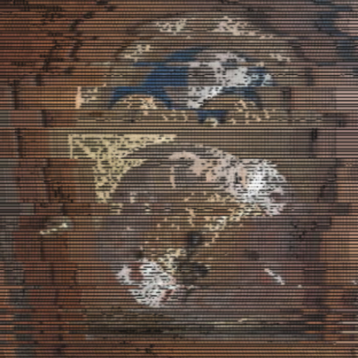 A Case of Primordials at the Edge of the Universe | A Case of Primordials