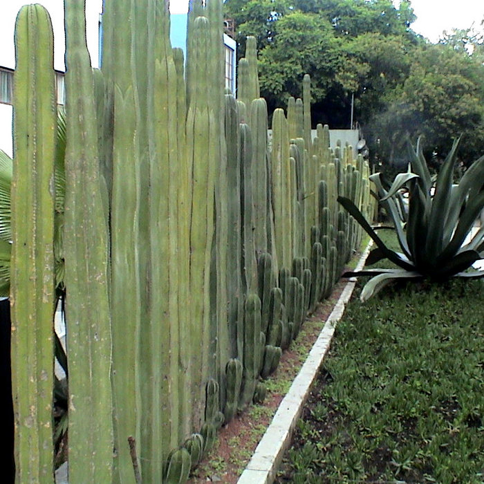 Love Poem | Harry Sumner