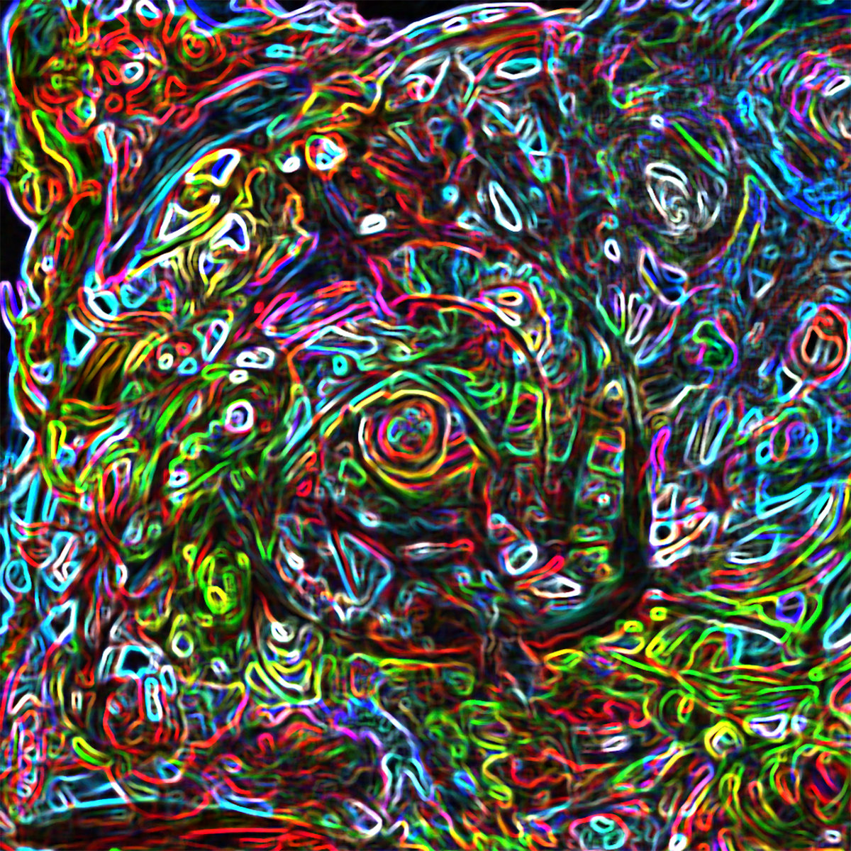 Beatnik | detroit24000 | Sea Weed Records