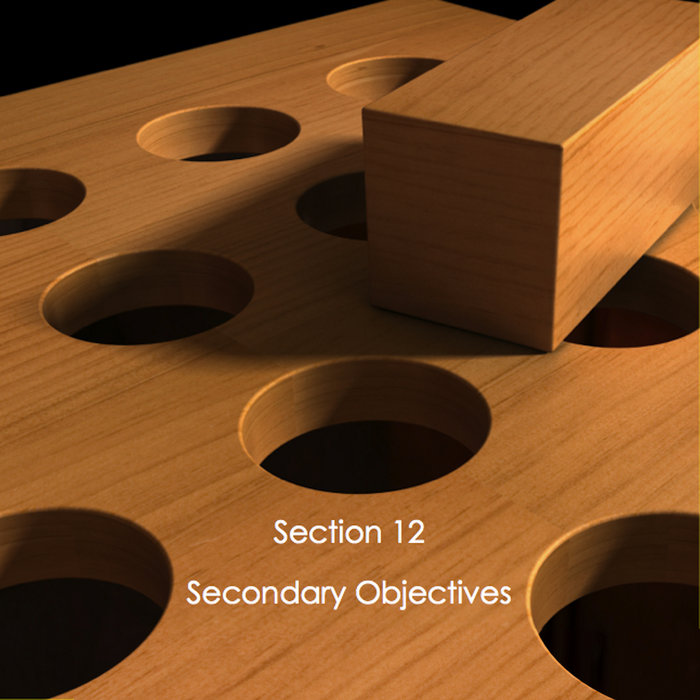 Secondary Objectives | Section 12
