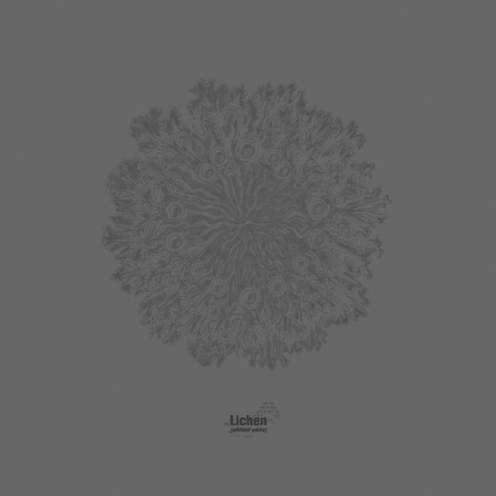 Lichen {ambient works} | monsieur.connard