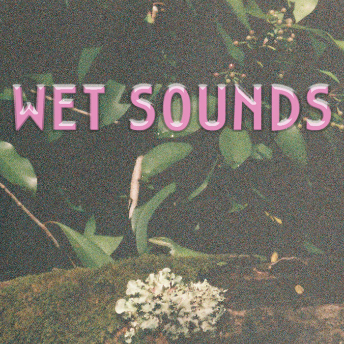 Wet Sounds | Wet Sounds