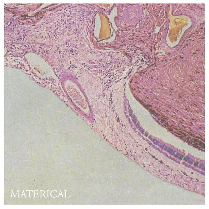 Materical | Materical | Aut Records